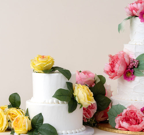 Dolce & Biscotti Bakery – Dolce & Biscotti Bakery